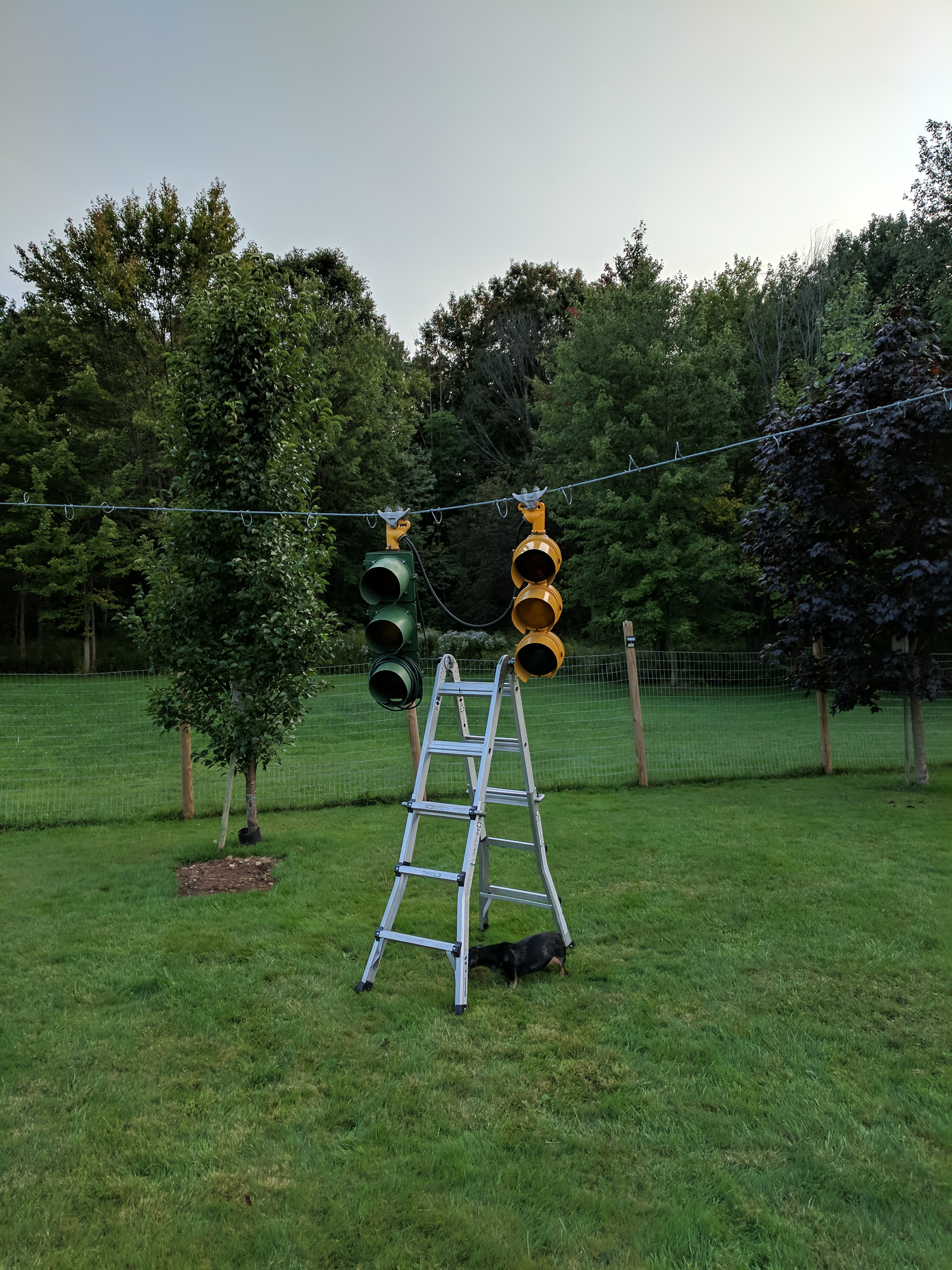 The Span Wire Setup Lives Again – Tony's Traffic Light Site